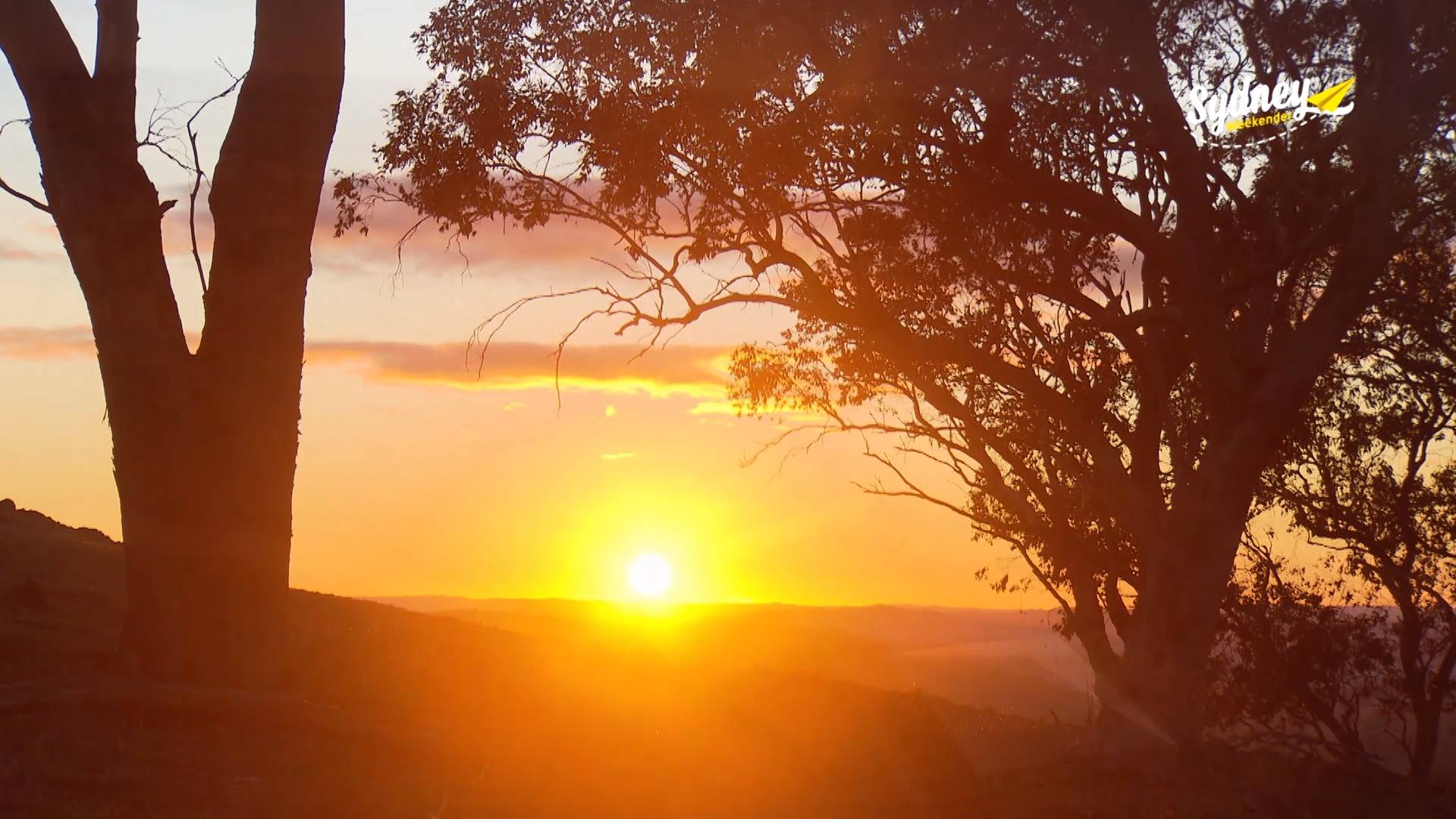 Mudgee Escape - Sydney Weekender