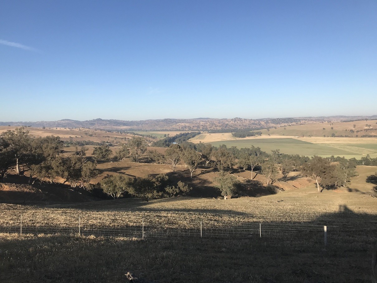 How to spend a weekend in Jugiong - Sydney Weekender